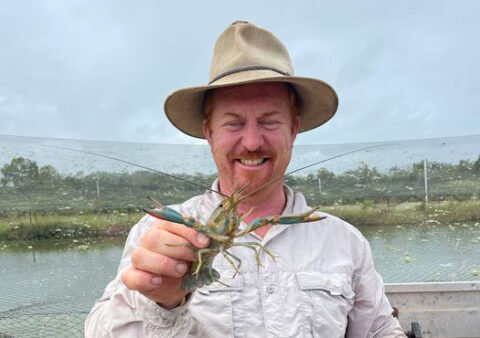 Barron River Redclaw - Farm tours & buy fresh local Crayfish